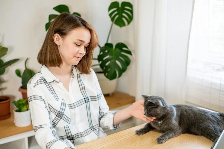 Understanding Common Cat Behavior and What It Means - Pamper Your Cat ...